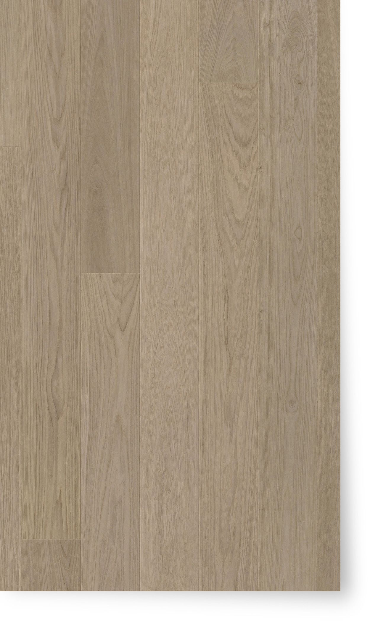 Continental Oak Faded Silvergrey Natural Oil